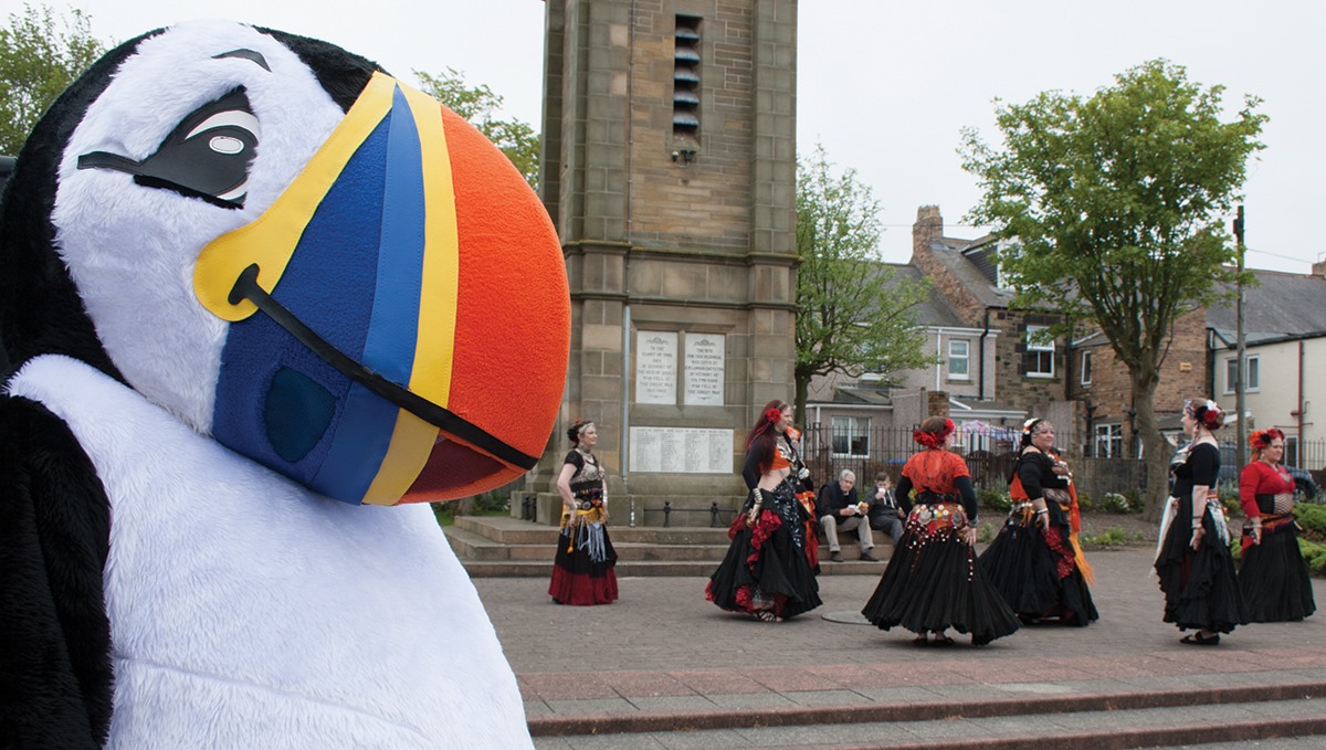 Amble Puffin Festival! - The Ambler
