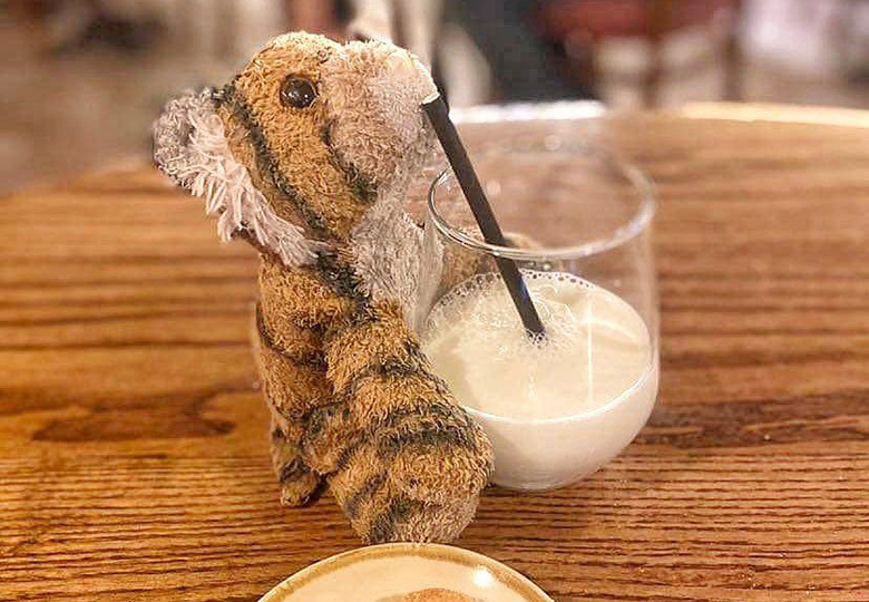The tiger who accidentally stayed for tea - The Ambler
