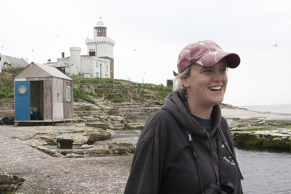 Holly’s loving life on Coquet Island - The Ambler