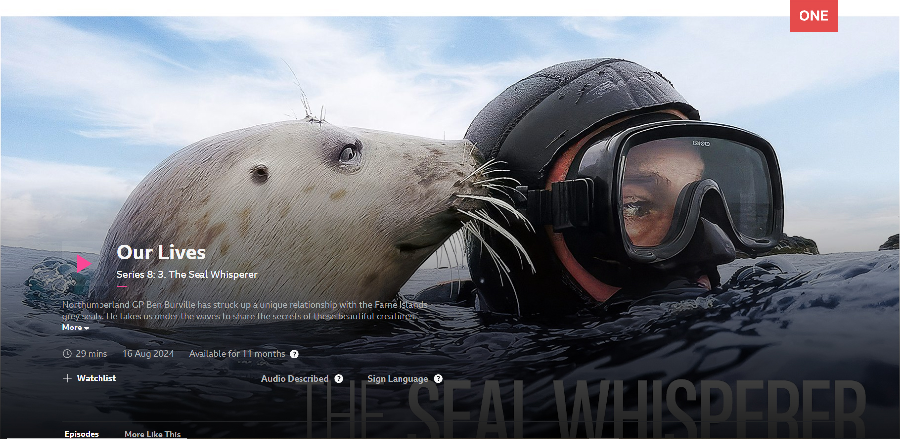BBC documentary features 'seal whisperer' Amble GP - The Ambler